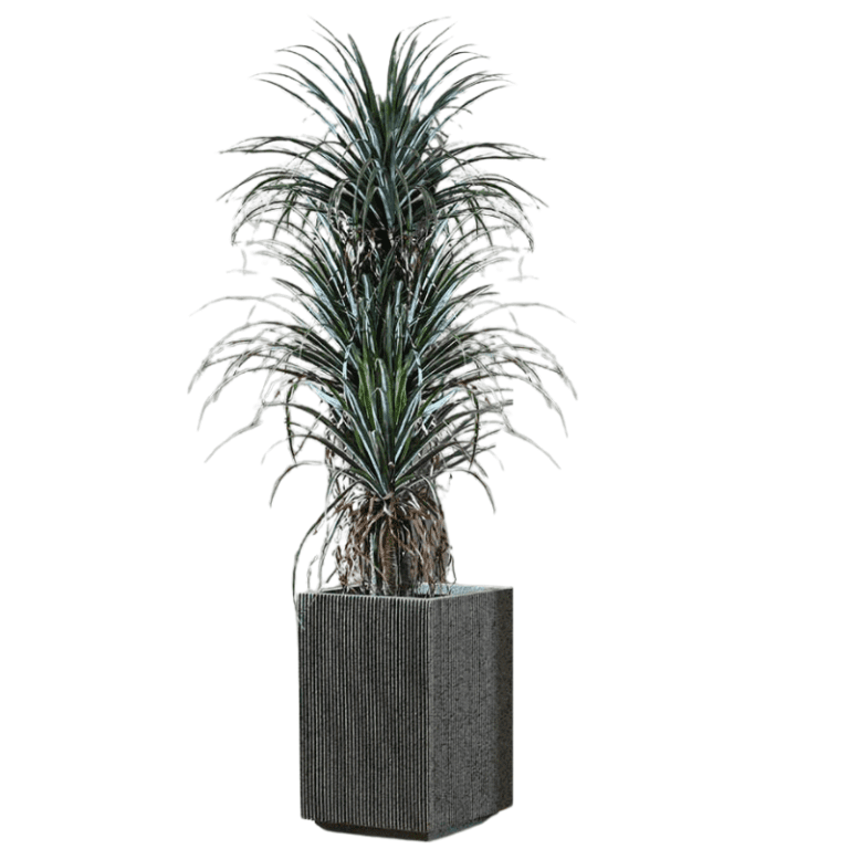 Rococo Milano - Luxury Furniture Store in Gurgaon